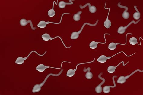 Mitos Sperma Encer Tanda Tak Subur Benarkah Klikdokter