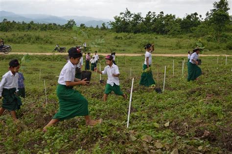 ေဒၚေအာင္ဆန္းစုၾကည္ေမြးေန႔ အင္းေတာ္တြင္ သစ္ပင္စုိက္ပြဲျပဳလုပ္