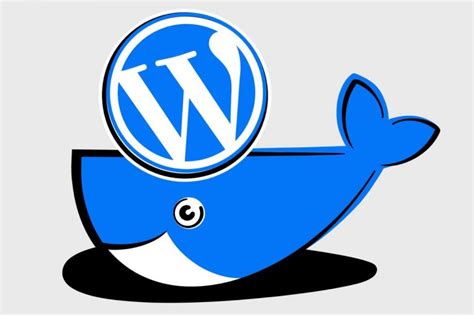 Json что это за формат как с ним работать примеры использования — журнал Код