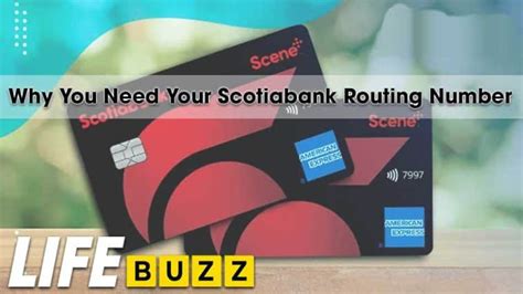 Scotiabank Routing Number Transit Number And Institution Number