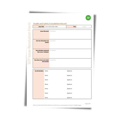 Issue Resolution Form 507