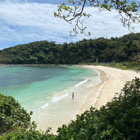 David Hauser Youtube