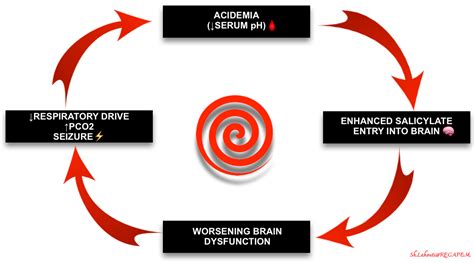 Salicylate Toxicity Management Of Salicylate Poisoned Patients In Ed