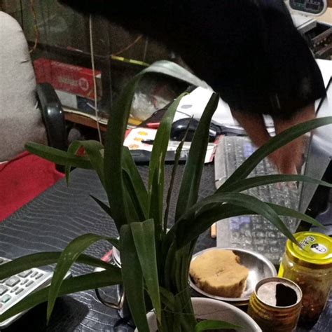 解密外接显卡：笔记本能否接外置显卡？如何连接外接显卡？ 独立 使用者 的需求