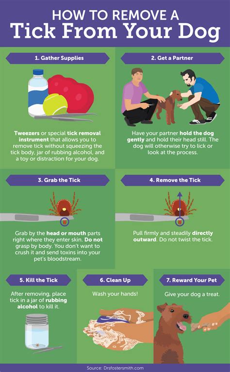 Keep Ticks and Fleas Away From Your Pet | Fix.com