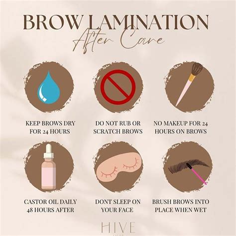 Brow Treatments Enhance Your Look Today HIVE Salon
