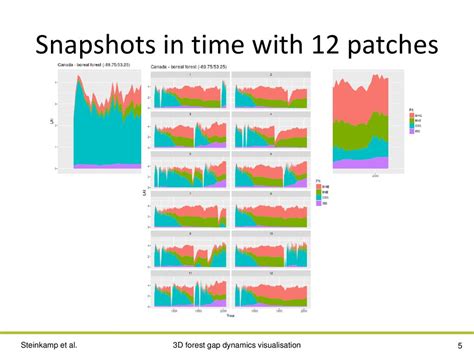 Of Simulated Forest Gap Dynamics Ppt Download