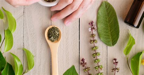 Summer School On Natural Drug Products Actualités Civis A