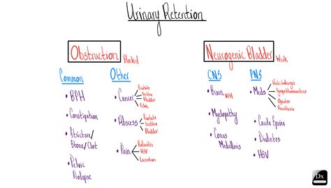 Urinary Retention The Clinical Problem Solvers