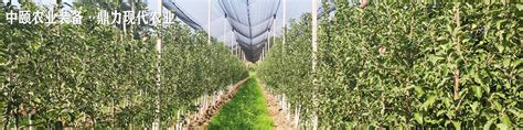 一分钟看懂现代化果园系统 技术资讯 果园机械 果园采摘作业平台 果园作业平台 果园升降平台 果园施肥机 果园开沟施肥机 撒肥机 撒肥车 撒粪车 扬粪机 避障割草机 果园叉车 修剪机 断根机