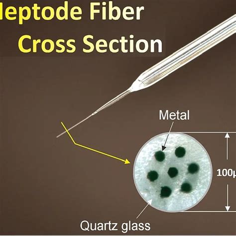 Electrochemical Multi Core Microelectrodes