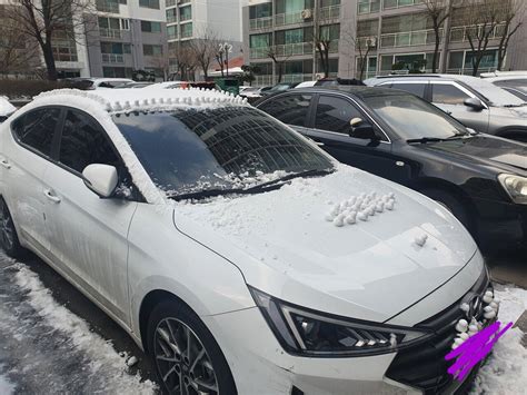 우리 아파트 오리때 대거출몰 유머 움짤 이슈 에펨코리아