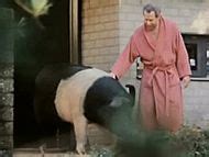 Maike Meijer Nude Pics Videos Sex Tape