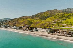 California S Find And Share On Giphy