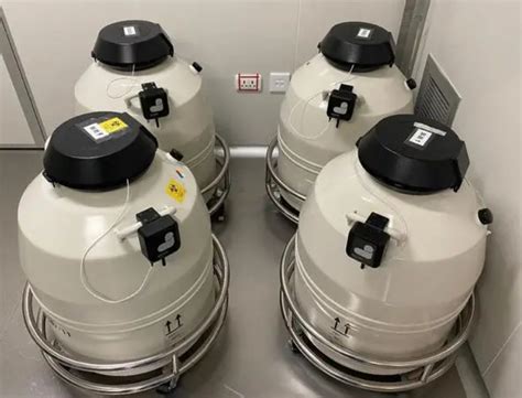 实验室存放液氮罐室内怎么布置 金凤液氮罐