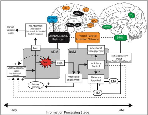 Figure 1 From The Neural Chronometry Of Threat Related Attentional Bias
