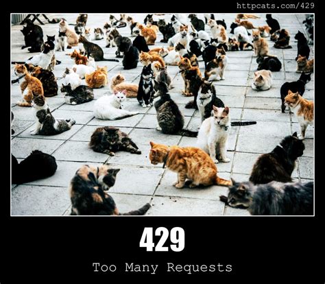 429 Too Many Requests Status Code And Cats