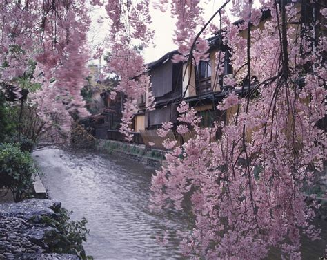 Pin By Aryia Kirby On Landscape Aesthetic Japan Japan Aesthetic