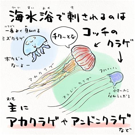 「この夏、海水浴に行く人へ 」さかなのおにいさん かわちゃんの漫画