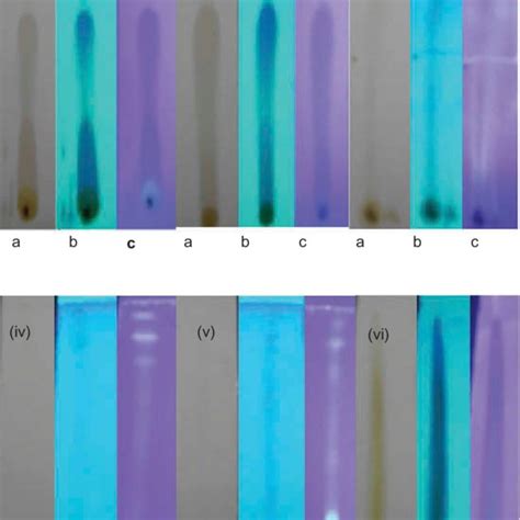 Rf Values Of The Compounds On The Tlc Plates Download Table