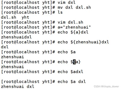 shell脚本编程规范与变量 写脚本给变量至0的习惯 csdn博客