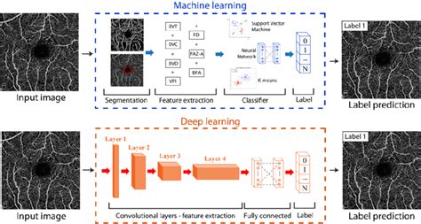 Examples Of Analyzed Classification Methods Octa Image Available From Download Scientific