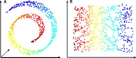 7 the effect of using isomap on the swiss roll dataset ε 5 [8