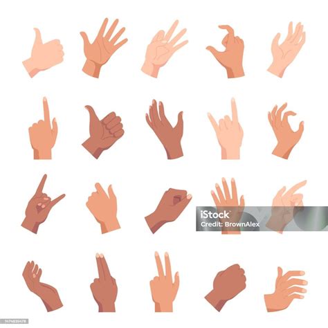 만화 손 포즈 잡고 가리키고 제스처처럼 다양한 사람들이 손 주먹과 손바닥 위치와 표지판 여자 팔 수 벡터 세트 가리키기에 대한 스톡 벡터 아트 및 기타 이미지 Istock