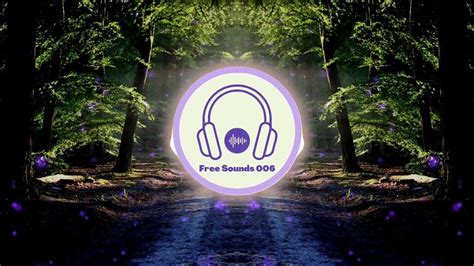 Rdls And Facading Come Alive [ncs Release] Youtube