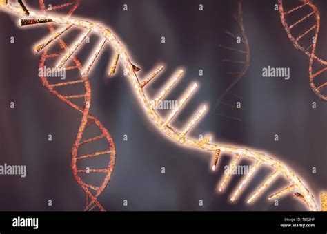 RNA Illustration Stock Photo Alamy