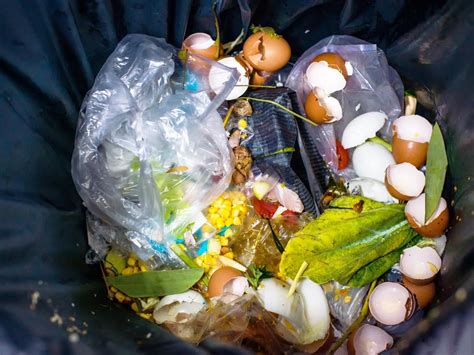 Food Waste Vs Packaging Waste Striking A Balance Article Packaging
