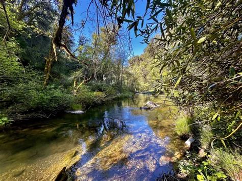 Best Wild Flowers Trails In Garden Valley Alltrails