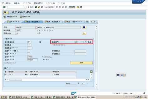 Sap Sd学习笔记03 Sd模块中的主数据 Csdn博客