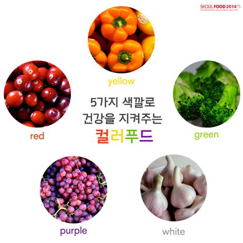 서울푸드 노란색 보라색 빨간색 초록색 흰색 5가지 컬러가 함유된 과일 채소 등은 건강에 매우
