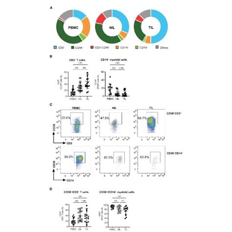 Co Expression Of Cd38 With Exhaustion Markers By The Cd8 T Cells Download Scientific Diagram