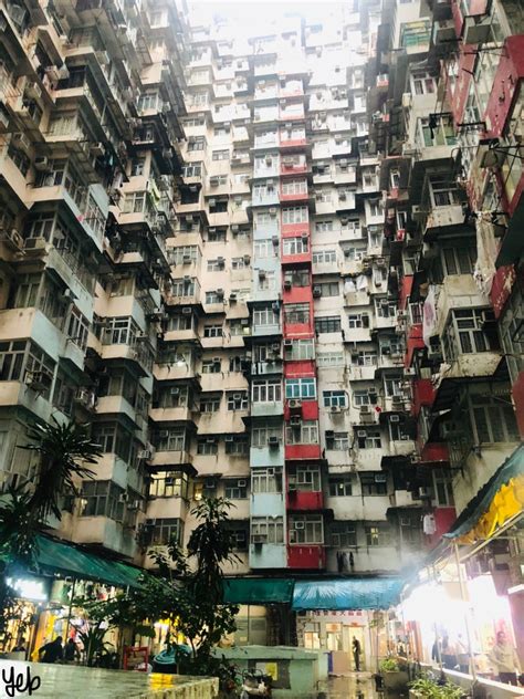 홍콩 자유여행 Day2 맛집관광명소 일정 경비 공유란퐁유엔 소호 벽화 미드레벨에스컬레이터 모노가모스 타이청베이커리 익청빌딩 홍콩 대관람차 몽콕 야시장