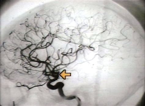 00219968 Peir Digital Library