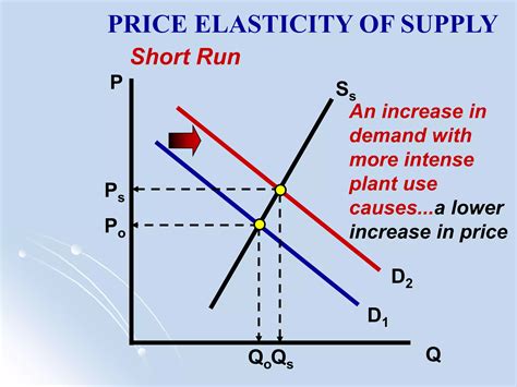Elasticityppt