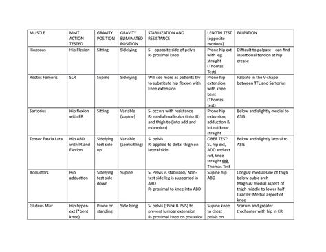 Le Mmt Lab Lower Extremity Manual Muscle Testing And Length Testing