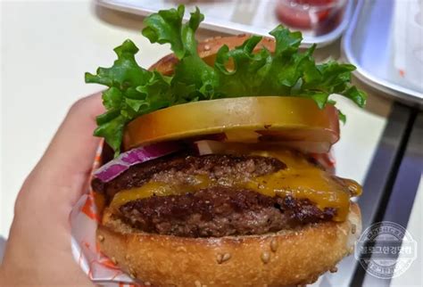 수퍼두퍼 버거 강남점 샌프란시스코 핫플 내돈내먹 후기 블로그한경닷컴