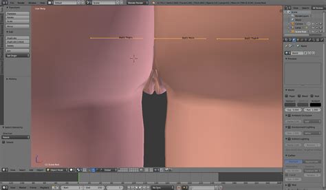 Hgec Lowerbody Gape Project C Program Files Bethesdasoftworks Loverslab