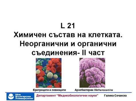 5 3 Химичен състав на клетката Белтъци и нуклеинови киселини