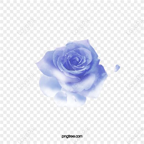 푸른 수채화 꽃 일러스트식물hd 꽃꽃들 Png 일러스트 무료 다운로드 Lovepik