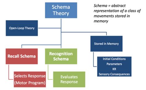 Schema Theory Schmidt Motor Control And Learning 1982 Flashcards Quizlet