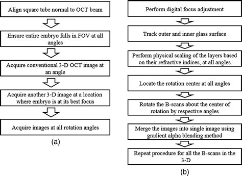 Rotational Imaging Optical Coherence Tomography For Full Body Mouse