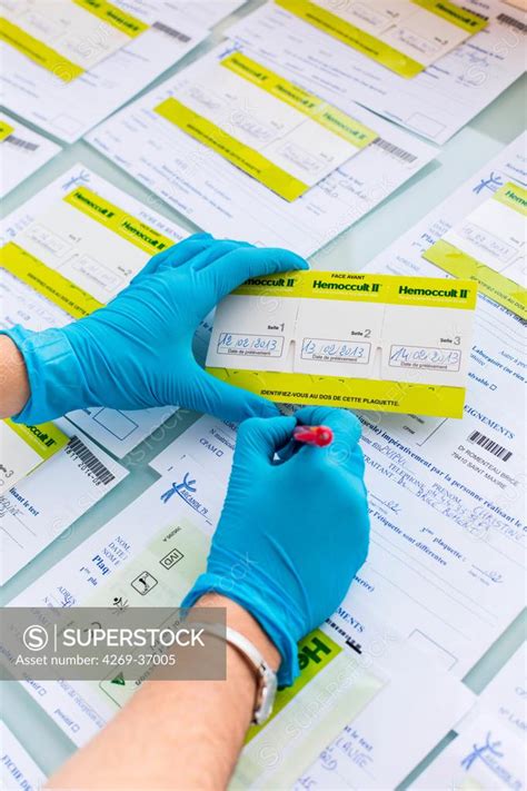 Laboratory Hemoccult Test In Laboratory Superstock