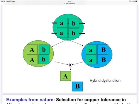 Evolutionary Dynamics Flashcards Quizlet