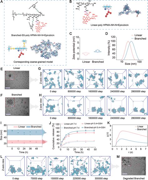 Chemical Structures In Silico Computational Results And Download