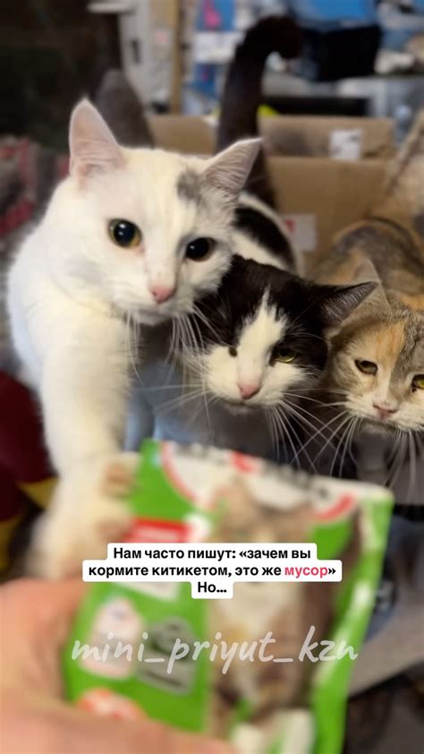 Сказать что мы захлебываемся в долгах ничего не сказать Не успеваем выкладывать столько