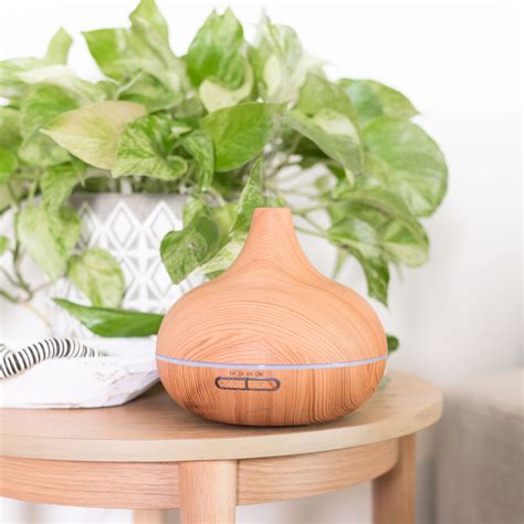 Ultimate Aromatherapy Diffuser With 10 Essential Oils Set Pure Daily Care